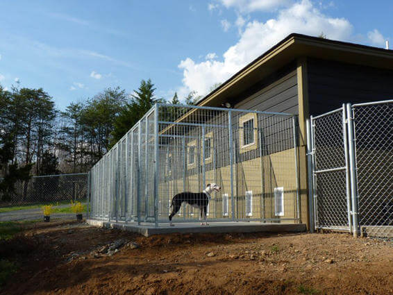 TK Products Pro-Series Backless Multi-Dog Kennels for Indoor/Outdoor ...